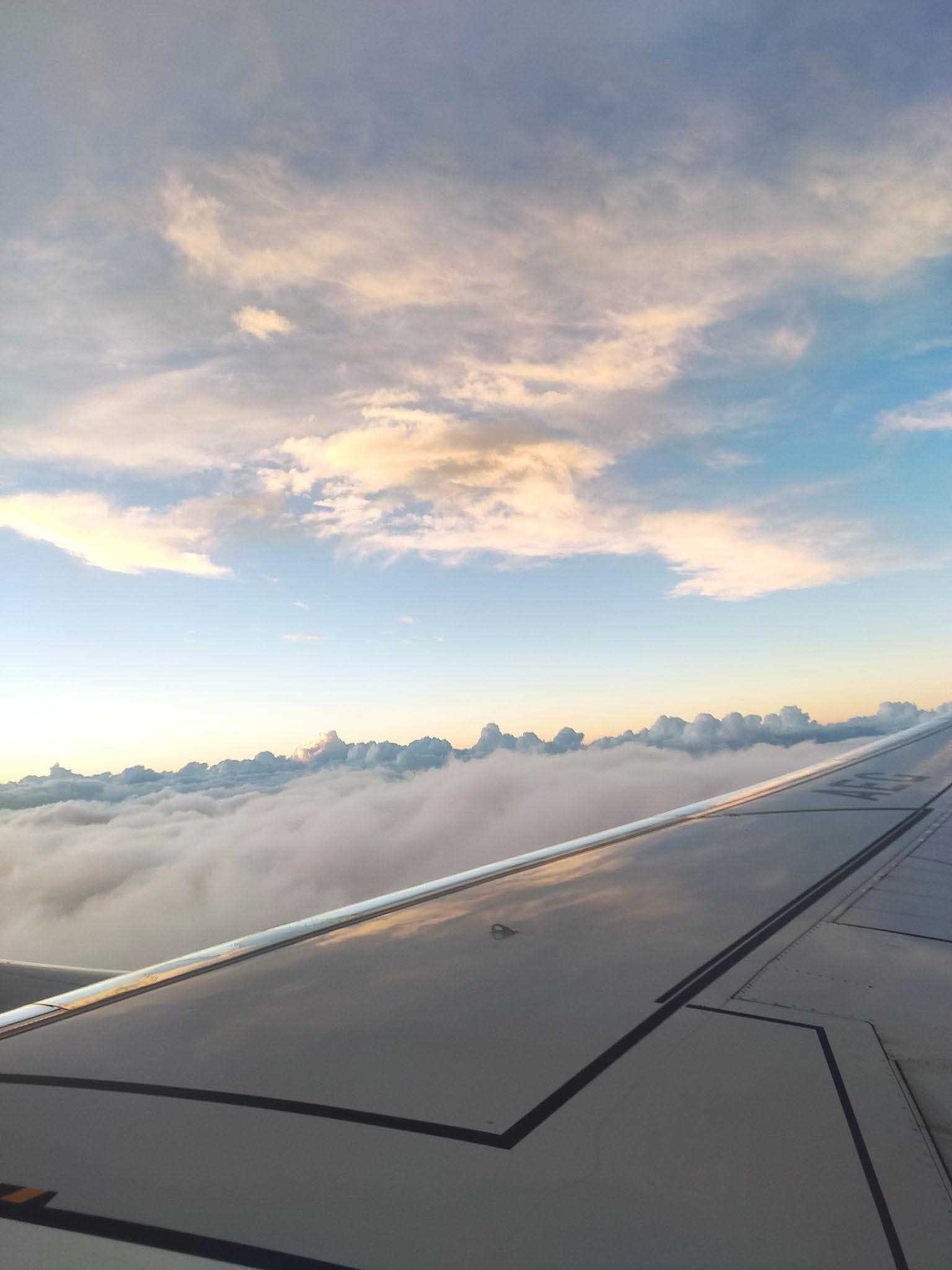 Cliente se emociona com gesto da Azul após mãe falecer antes da viagem ...
